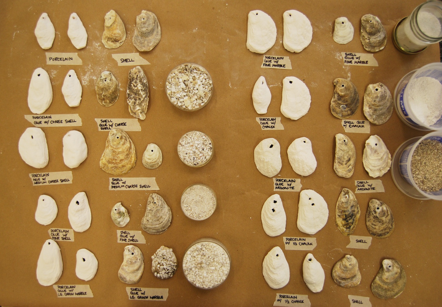 Ultimate Substrate for the Urban Oyster: An Experiment – Mara G. Haseltine