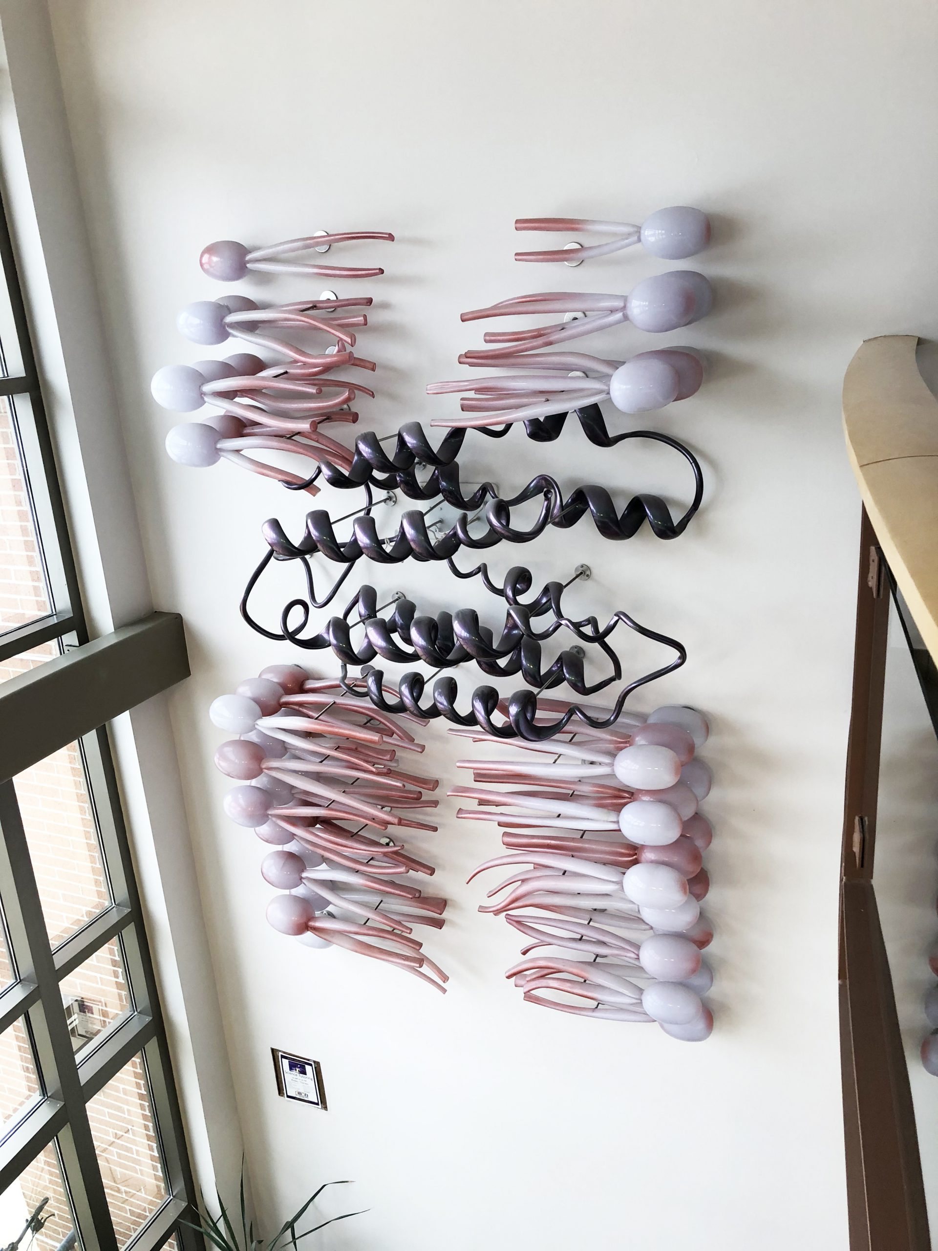 Lipid Love Starring Rhodopsin As Visual Purple – Mara G. Haseltine